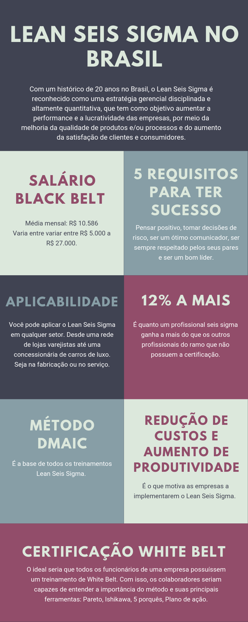 Lean x Seis Sigma: qual a diferença? | Blog Voitto