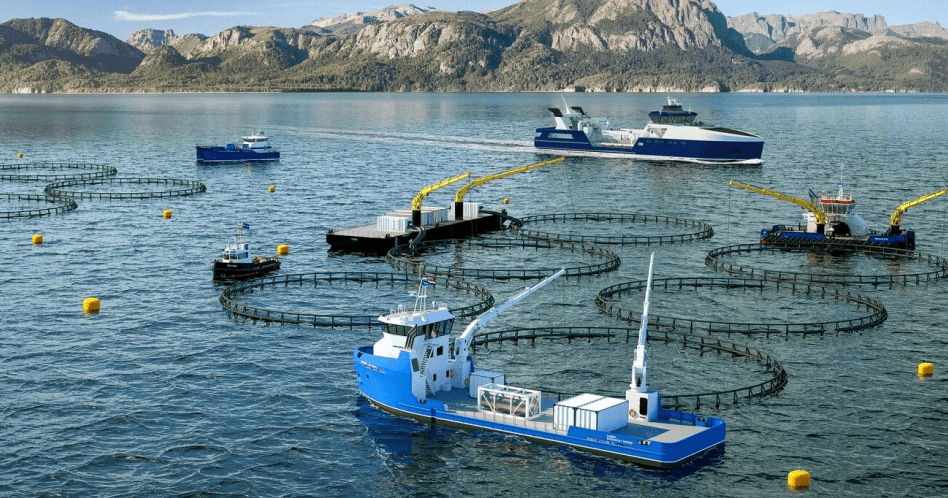 Engenharia de Pesca: o que é, o que faz e quanto ganha? | Blog Voitto