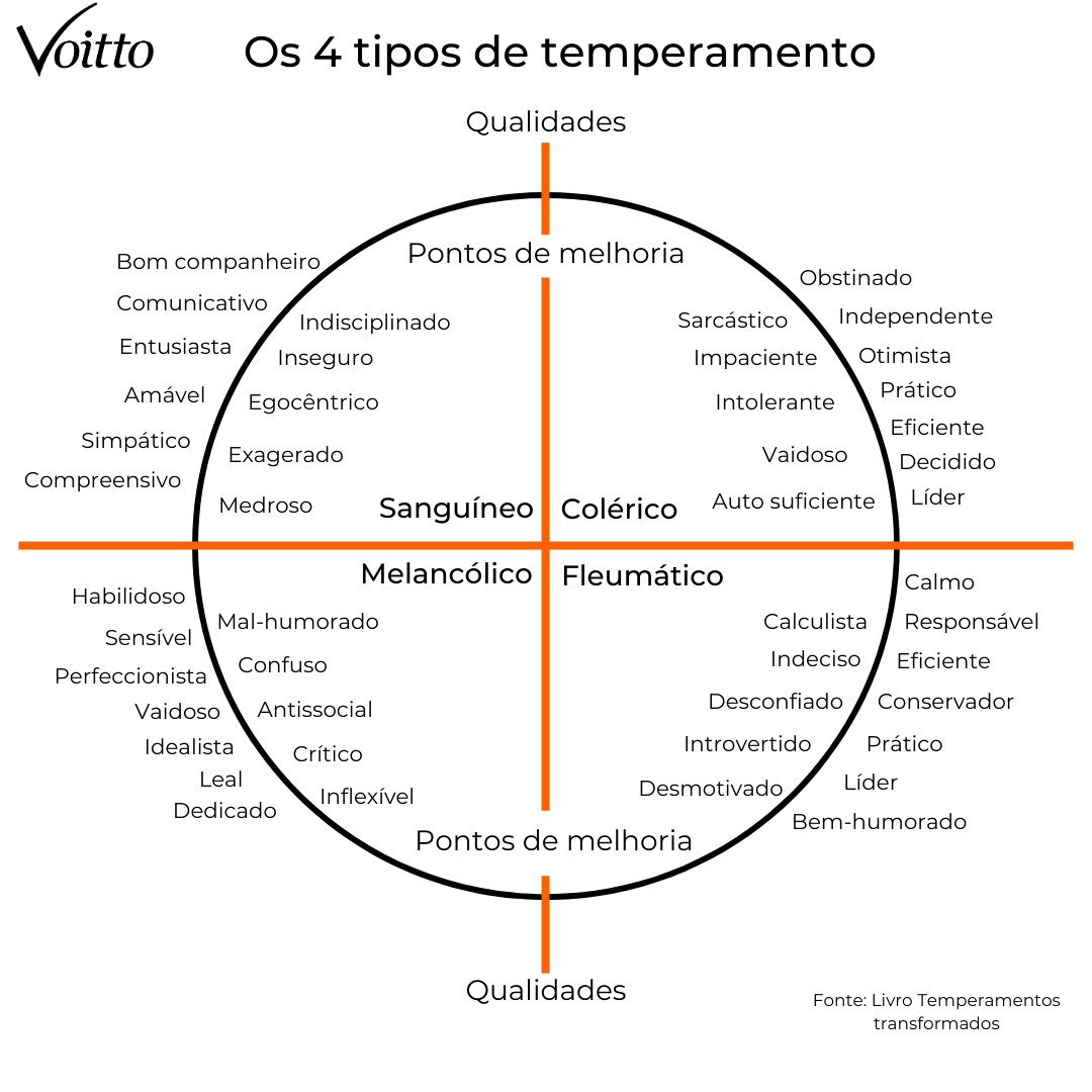 Conheça os 4 tipos de temperamento e suas características! | Blog Voitto